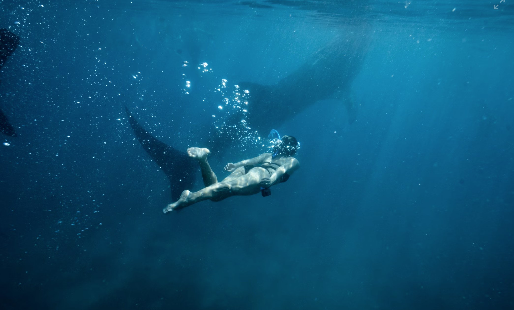 100 Crazy Bucket List Ideas